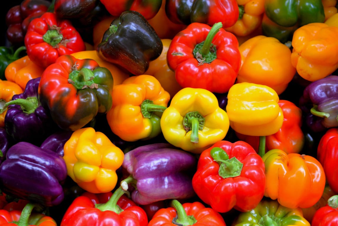 Sweet Bell Pepper Seeds Rainbow Mix All Colors 50 Seeds - Etsy