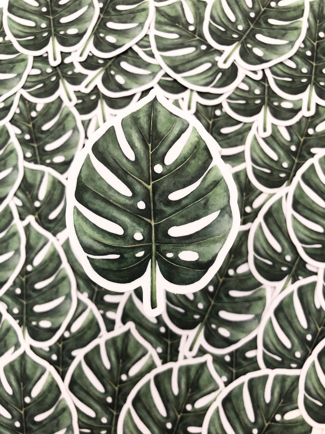Monstera Leaf Sticker, Green Leaf Sticker , Laptop Sticker, Water ...