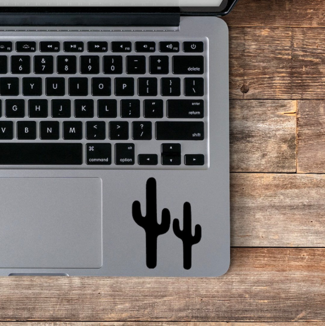Cactus Vinyl Decal Sticker// Vinyl Decal// Cactus Decal// Cactus ...