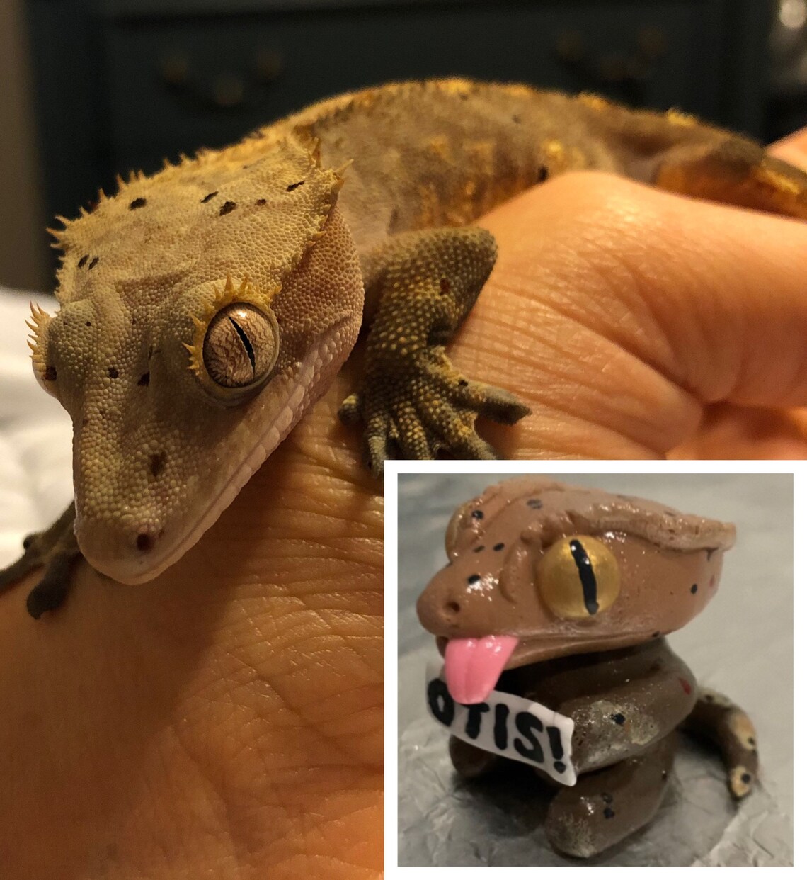 Customized Gecko Figure Polymer Clay | Etsy