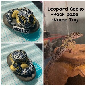 Customized Gecko Figure, Polymer Clay - Etsy