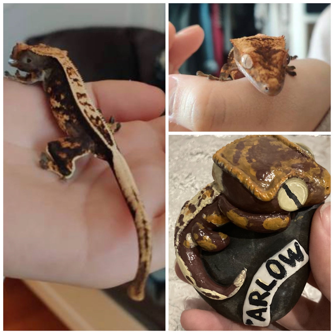 Customized Gecko Figure Polymer Clay | Etsy