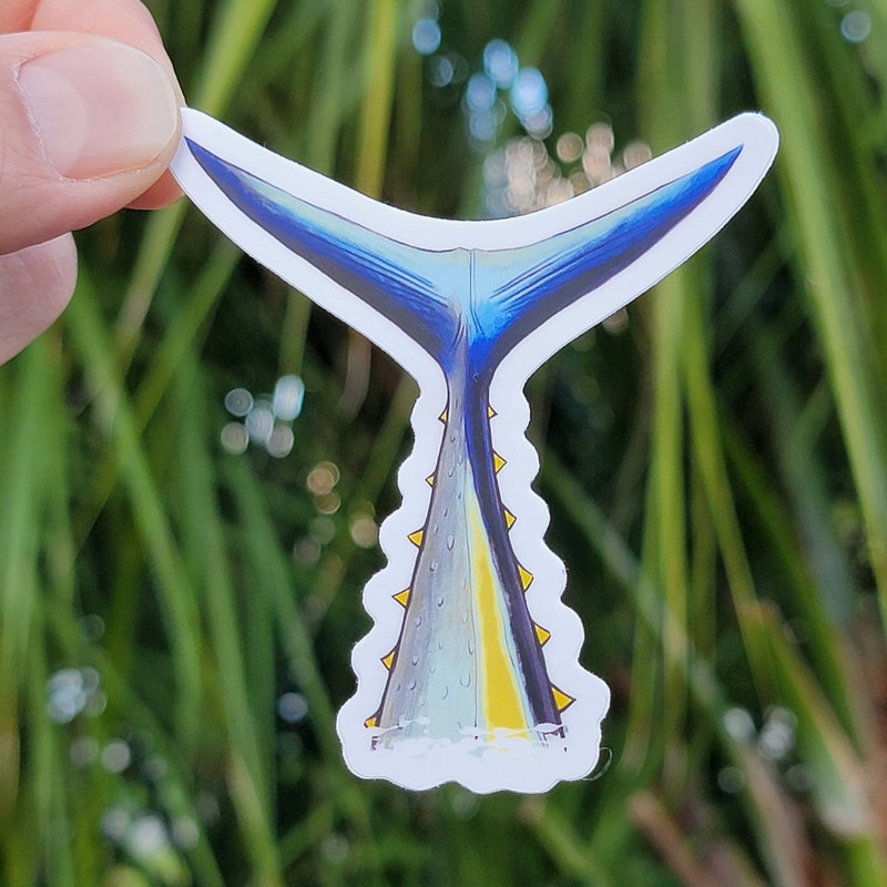 Bluefin Tuna - Etsy