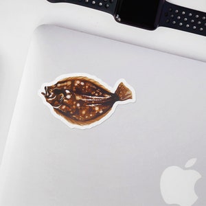 Fluke Sticker Flounder Sticker Fluke Decal Flounder Decal Fish Decal ...