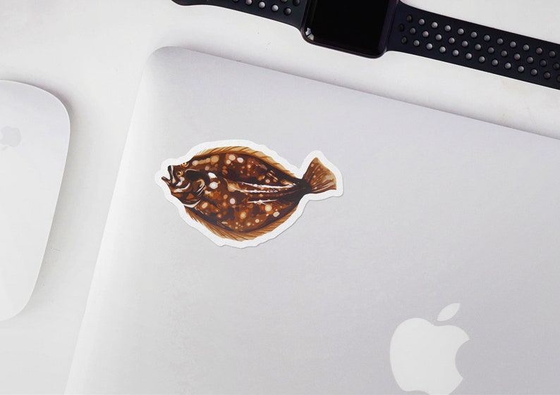 Fluke Sticker Flounder Sticker Fluke Decal Flounder - Etsy