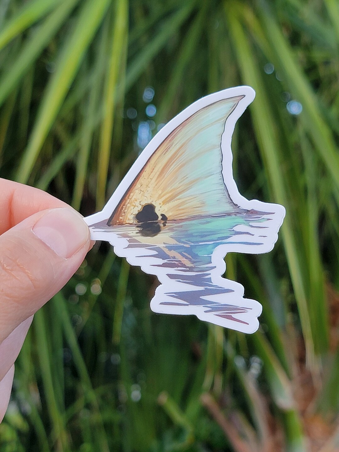 Tailing Redfish Sticker | Redfish Tail | Redfish Decal | Red Drum ...