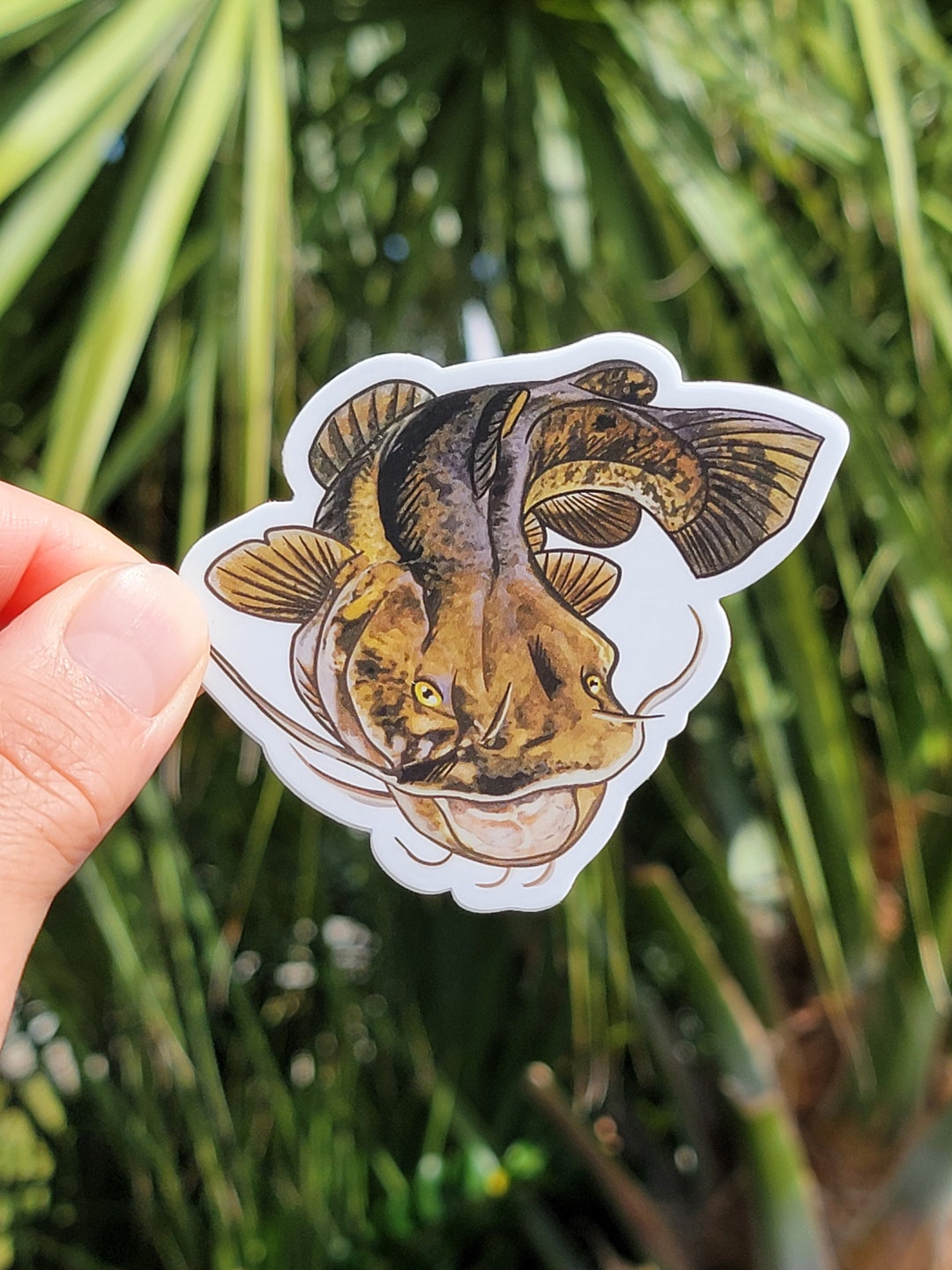 Catfish Sticker | Flathead Catfish | Catfish | Flathead | Fish Decal ...
