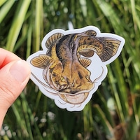 Catfish - Etsy