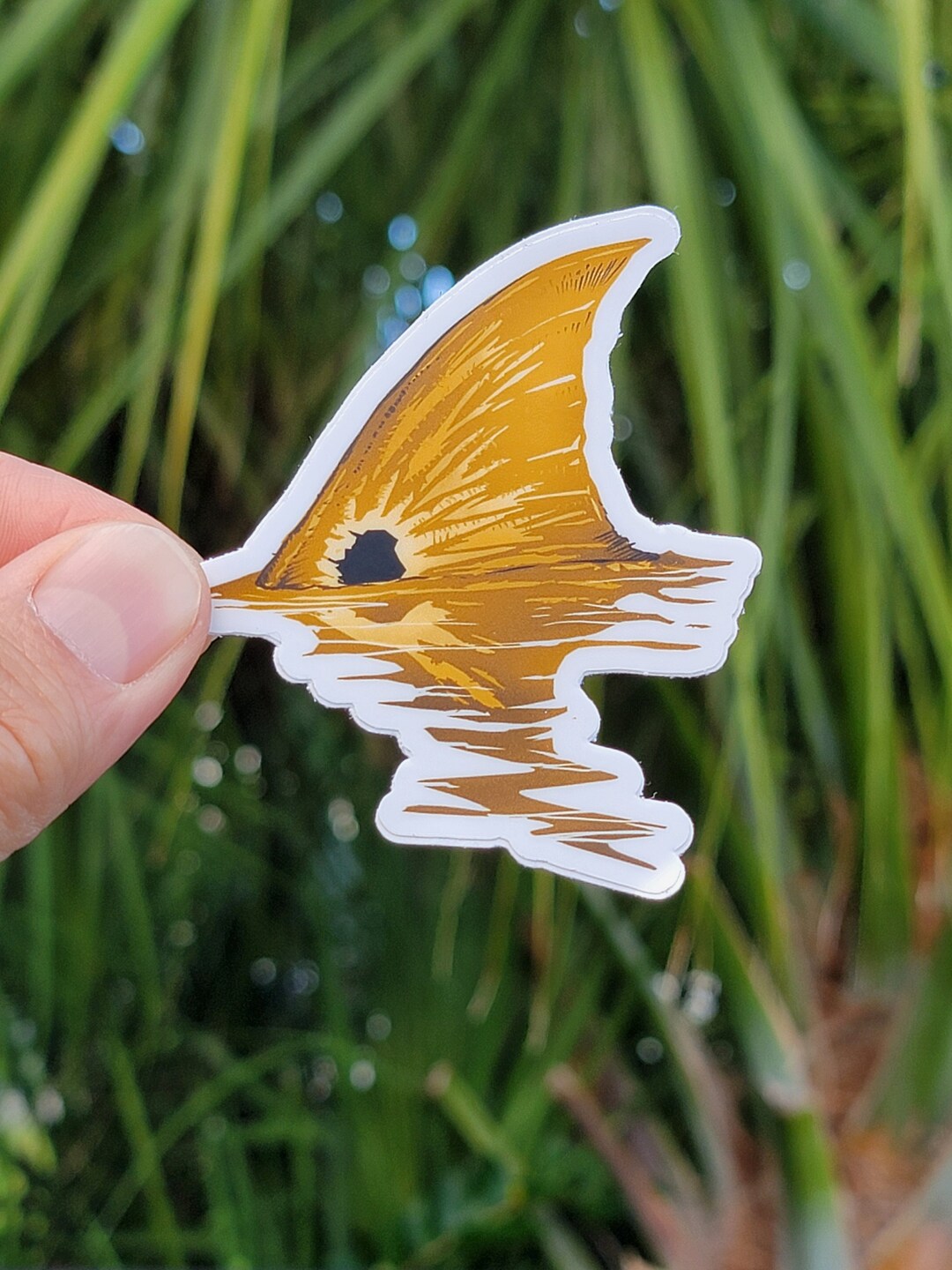 Tailing Redfish Sticker | Redfish Tail | Redfish Decal | Red Drum ...
