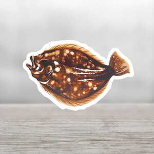 Fluke Sticker | Flounder Sticker | Fluke Decal | Flounder Decal | Fish ...