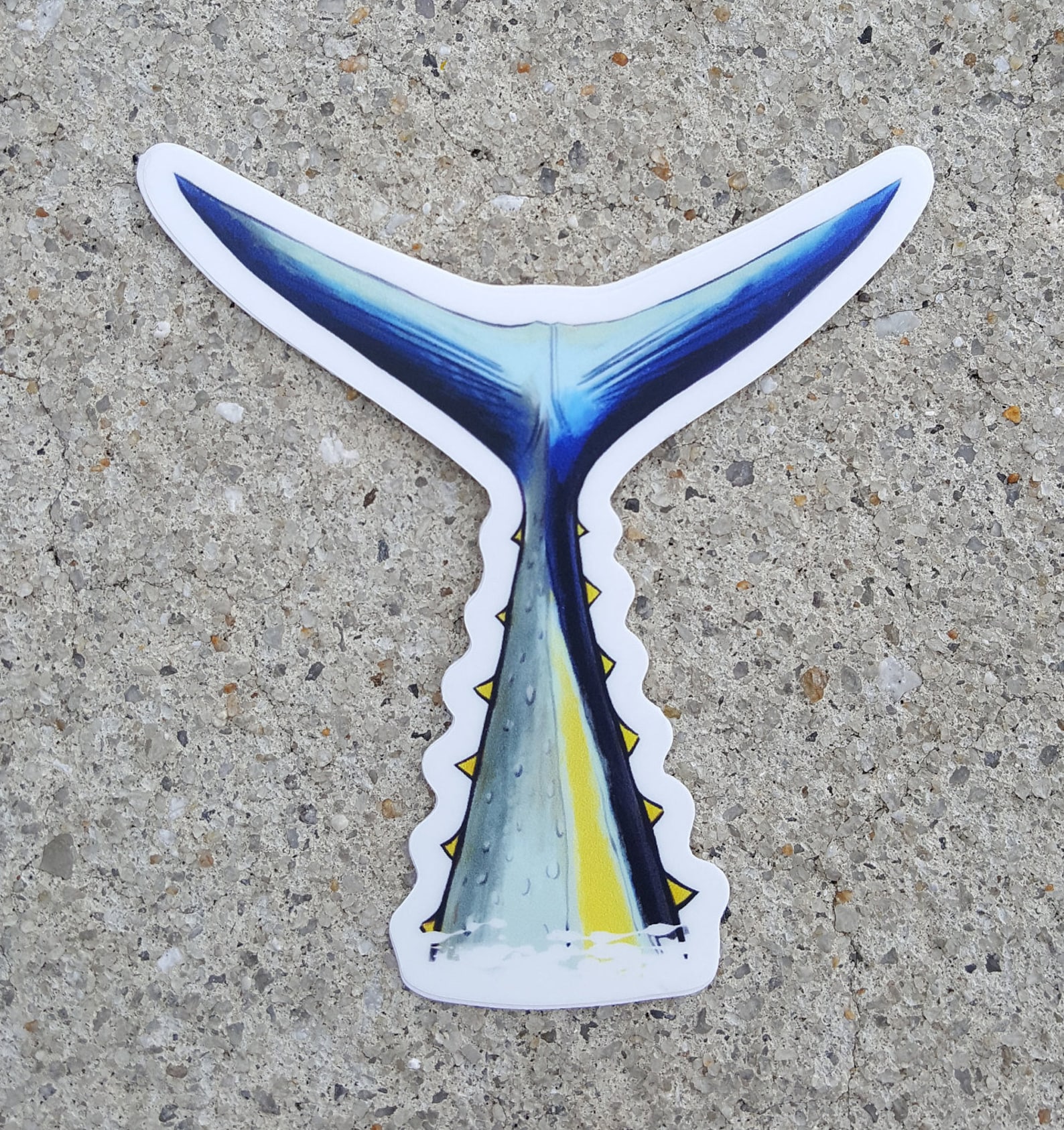 Tuna Tail Sticker Tuna Sticker Tuna Decal Bluefin Tuna - Etsy