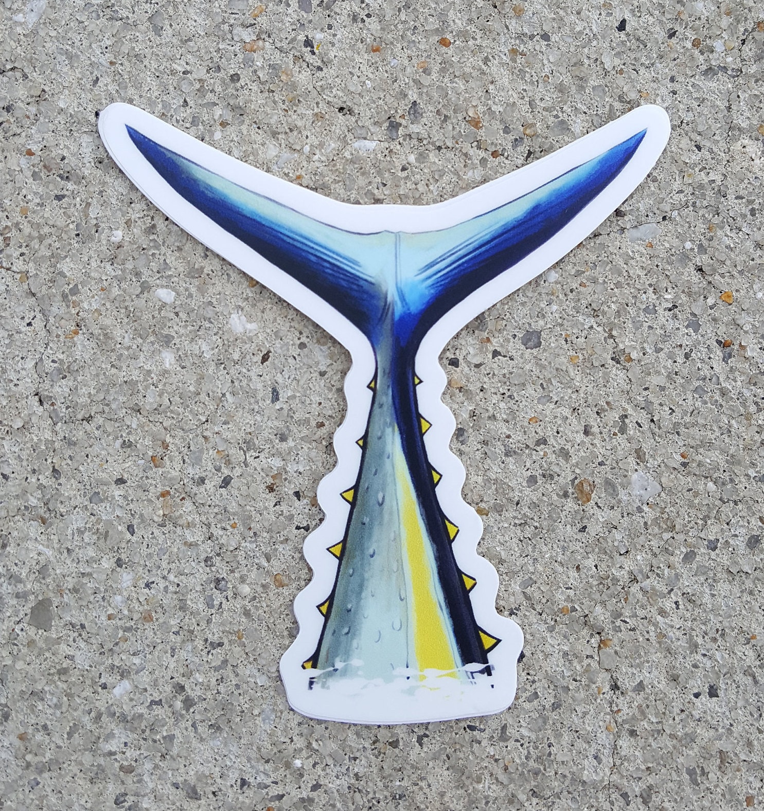 Tuna Tail Sticker Tuna Sticker Tuna Decal Bluefin Tuna - Etsy 日本
