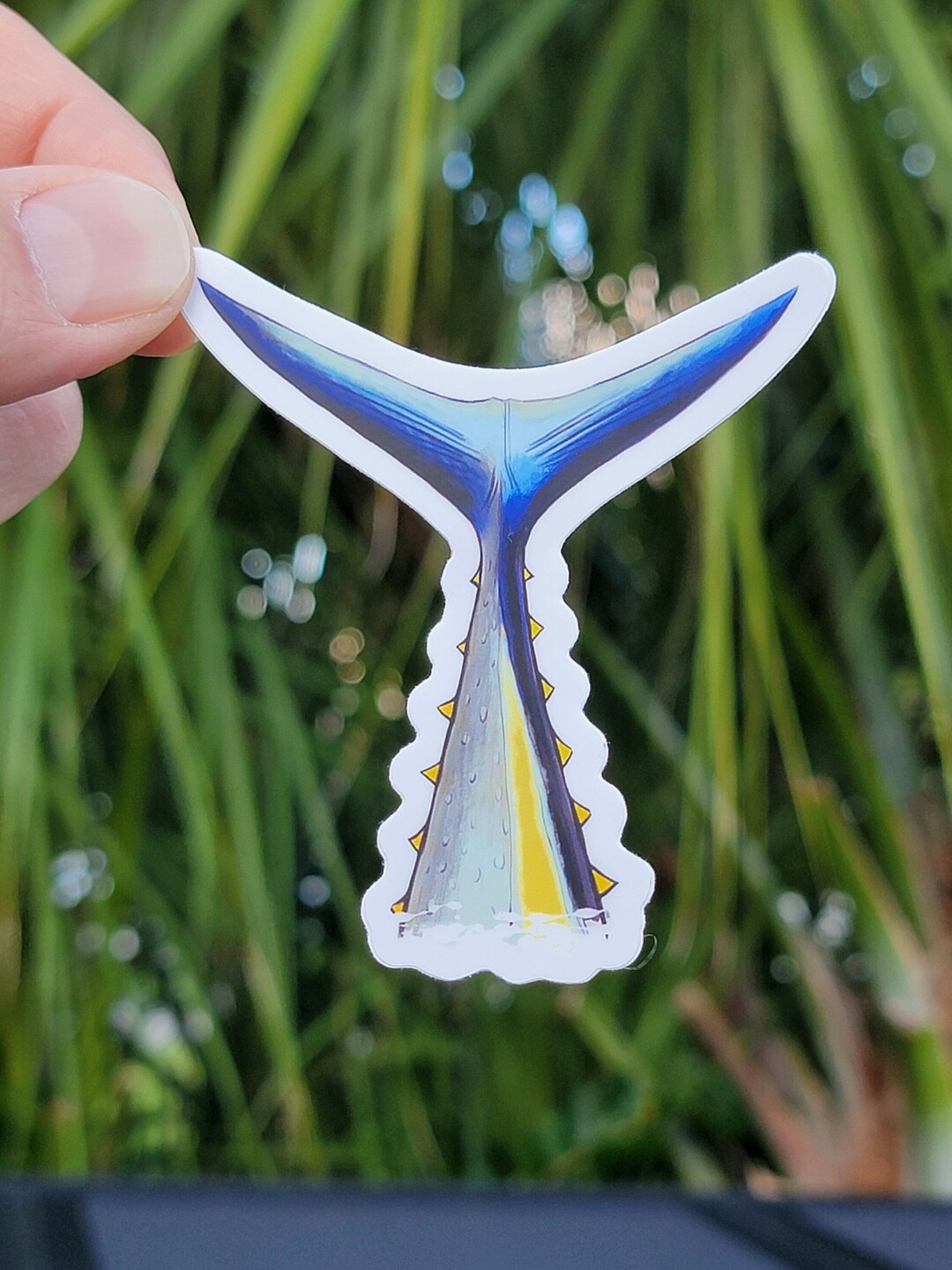 Tuna Tail Sticker | Tuna Sticker | Tuna Decal | Bluefin Tuna Sticker ...