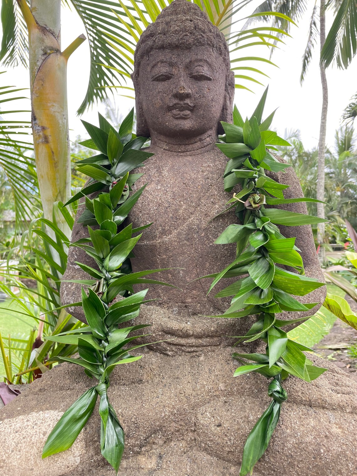 Fresh Handmade Open Ti Leaf Lei With Ti Rosettes Pick up - Etsy