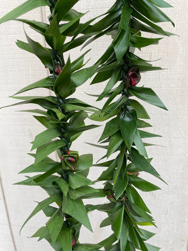 Fresh Handmade Open Ti Leaf Lei With Ti Rosettes Pick up - Etsy