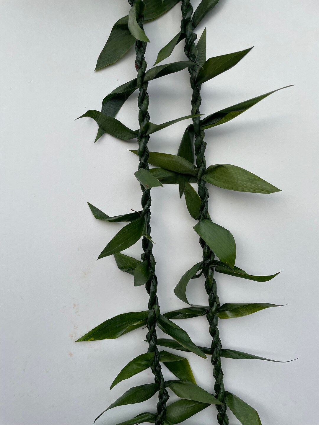 Fresh Handmade Open Twisted Ti Leaf Lei. Pick up on O'ahu. Sorry ...