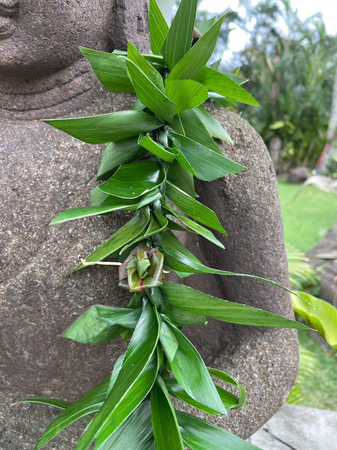 Fresh Handmade Open Ti Leaf Lei With Ti Rosettes - Pick up O'ahu (HI ...