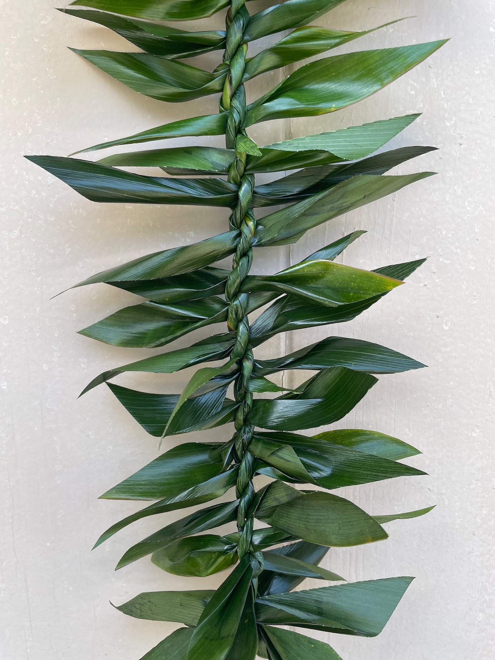 Fresh Green Ti Leaf Lei Birthday Wedding Graduation Pick up - Etsy