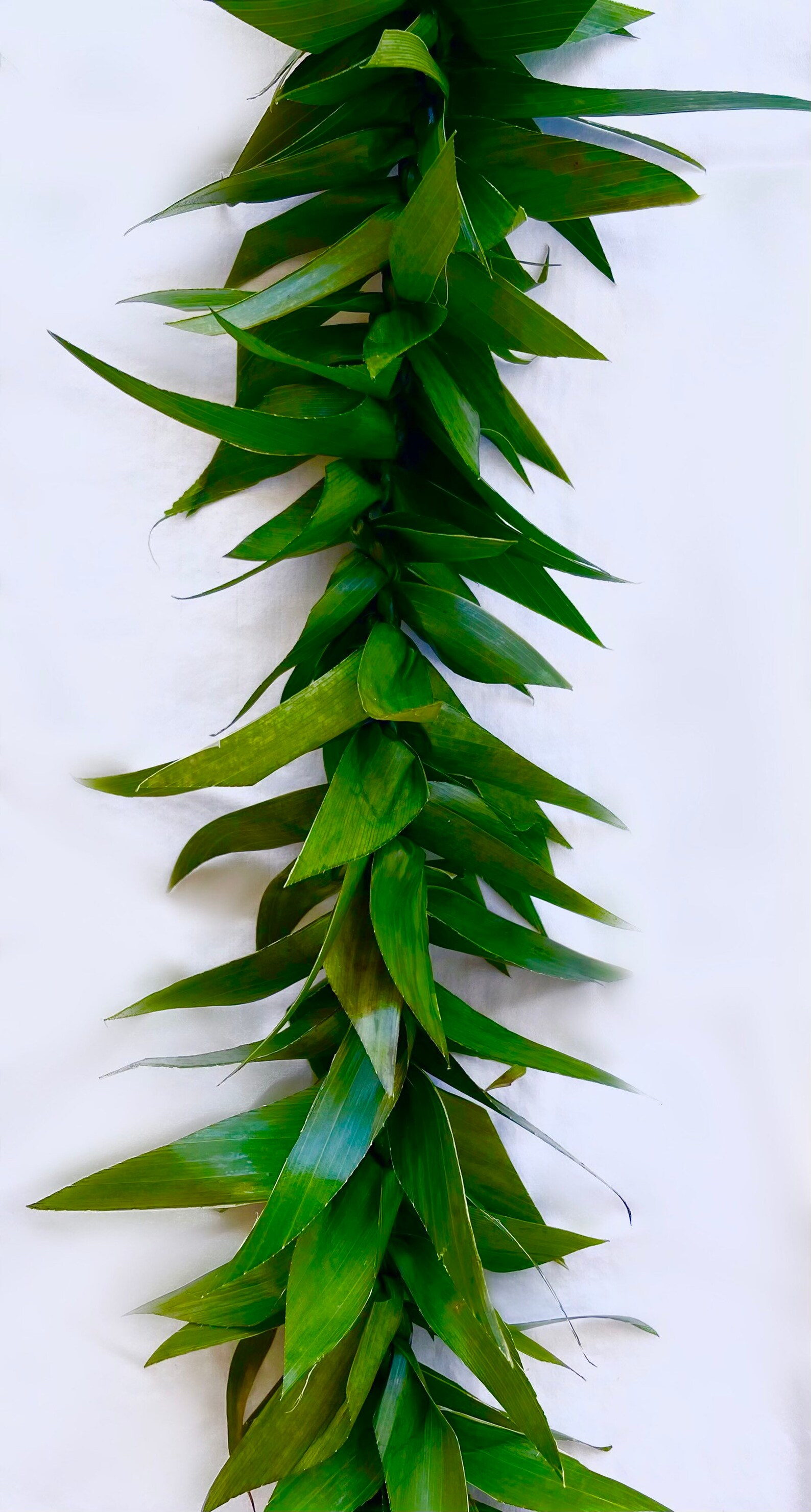 Maile Style Ti Leaf Lei Wedding Birthday Graduation Pick - Etsy