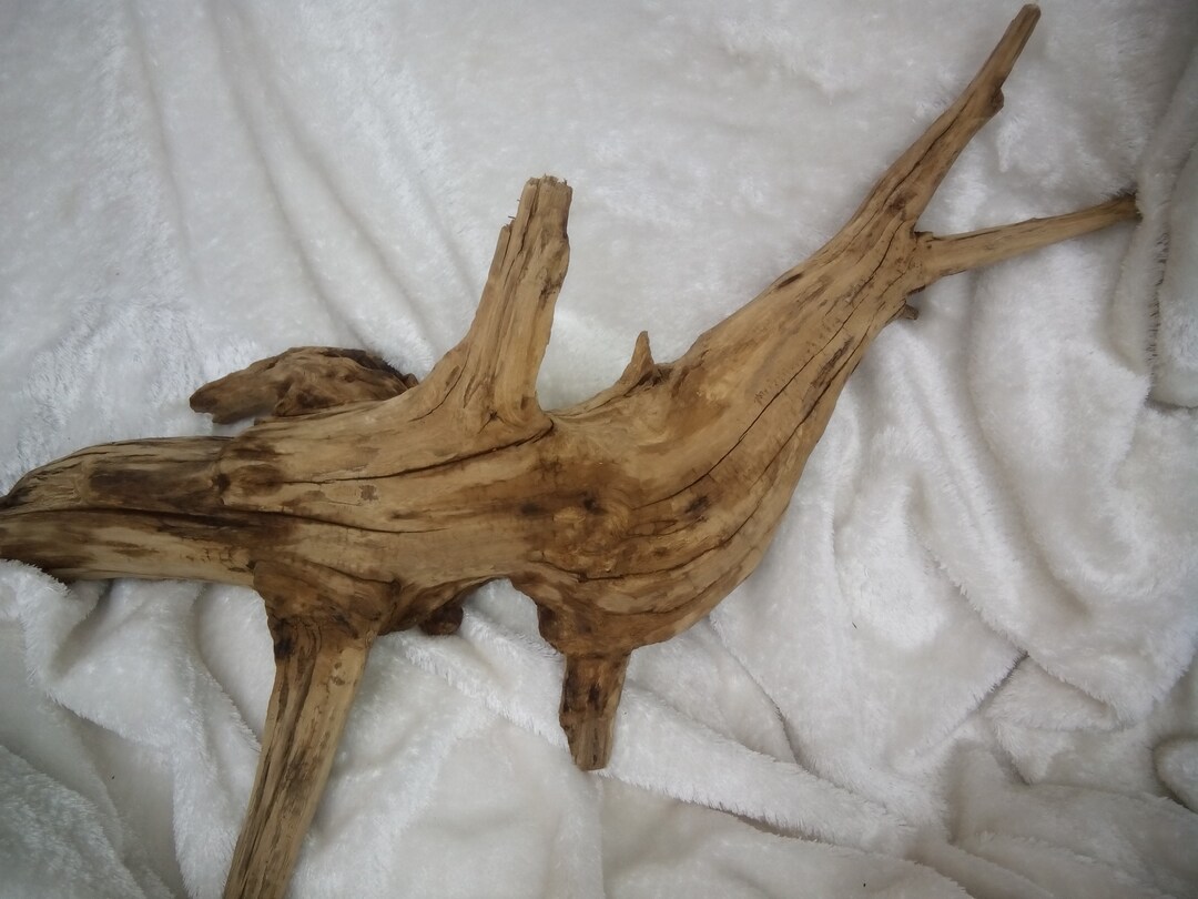 Large Aquarium Driftwood,real Wooden Aspen Snag,aquarium Accsessories ...