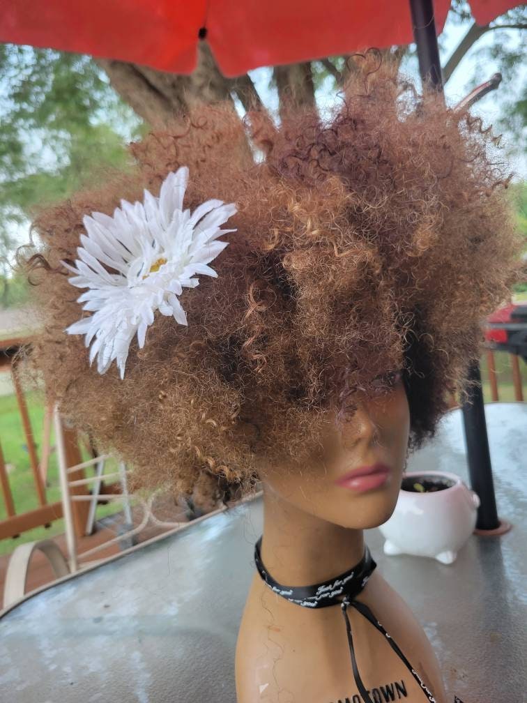 Fiona Big Afro Wig - Etsy