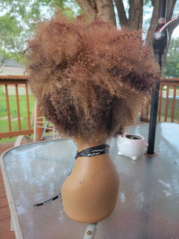 Fiona Big Afro Wig - Etsy