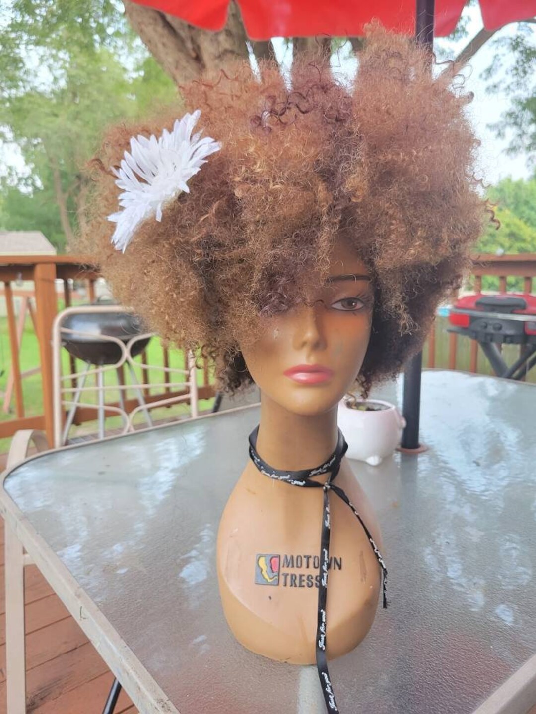 Fiona Big Afro Wig - Etsy