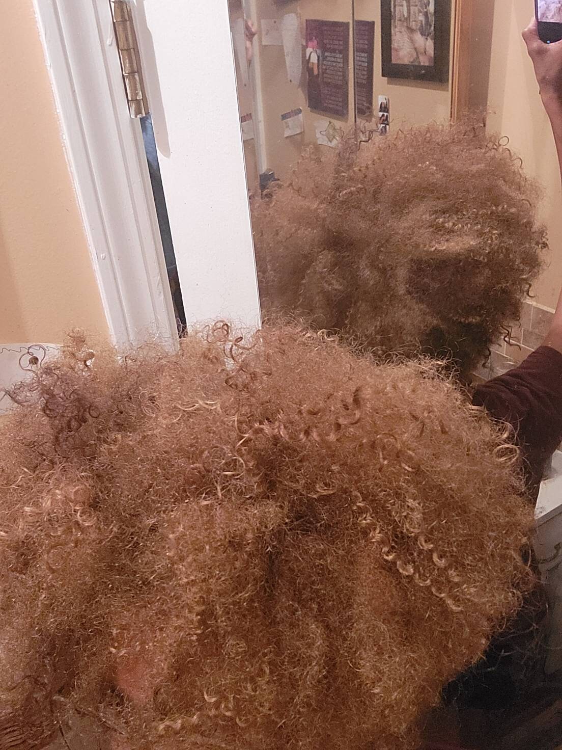 Fiona Big Afro Wig - Etsy