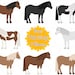 Horses Clipart | Pony Clip Art | Horse Graphic Png | Instant Download ...