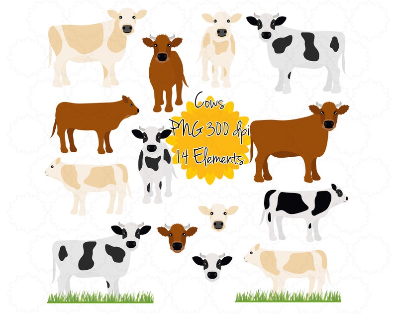 Cow & Calves Clipart Cow Clip Art Cow Graphics Cow Printable Instant ...