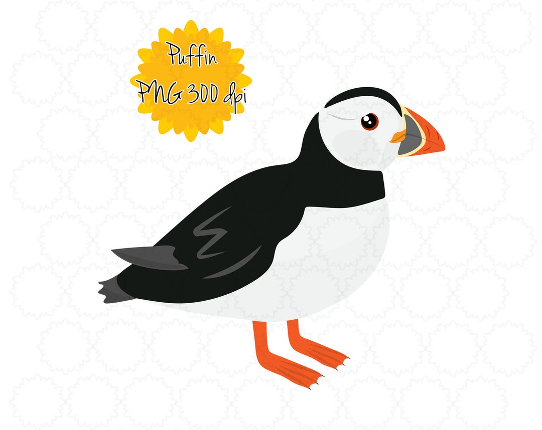 Puffin Clipart | Puffin Clip Art | Puffin Graphics | Puffin Printable ...