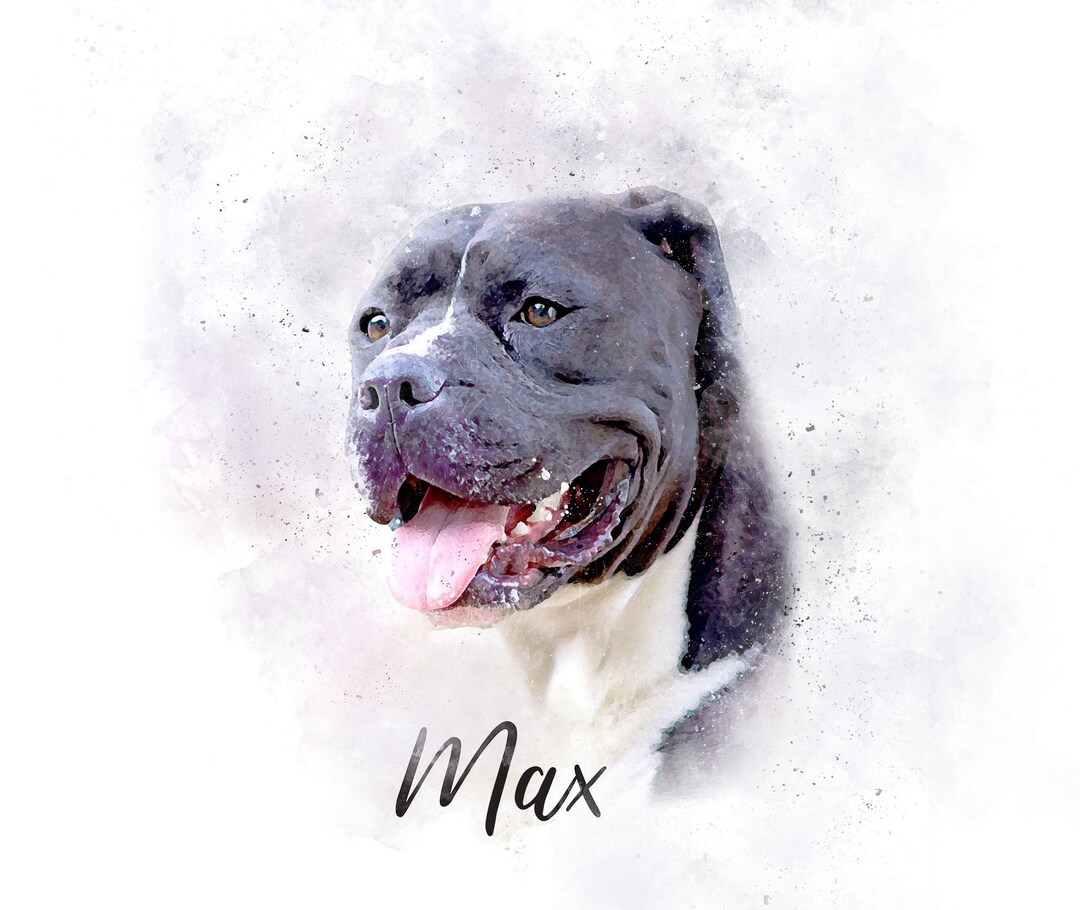 Custom Pet Portrait Pitbull Portrait Custom Dog Portrait - Etsy