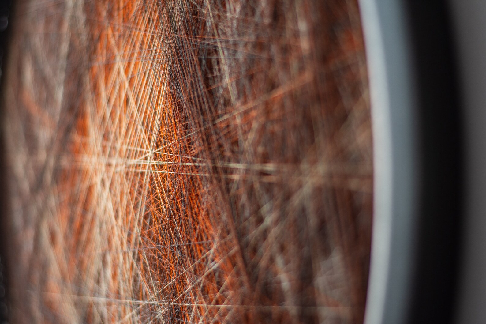 Multicolor Tiger String Art Portrait or DIY Kit - Etsy