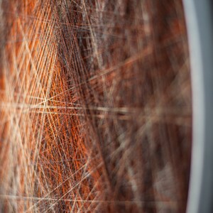 Multicolor Tiger String Art Portrait or DIY Kit - Etsy