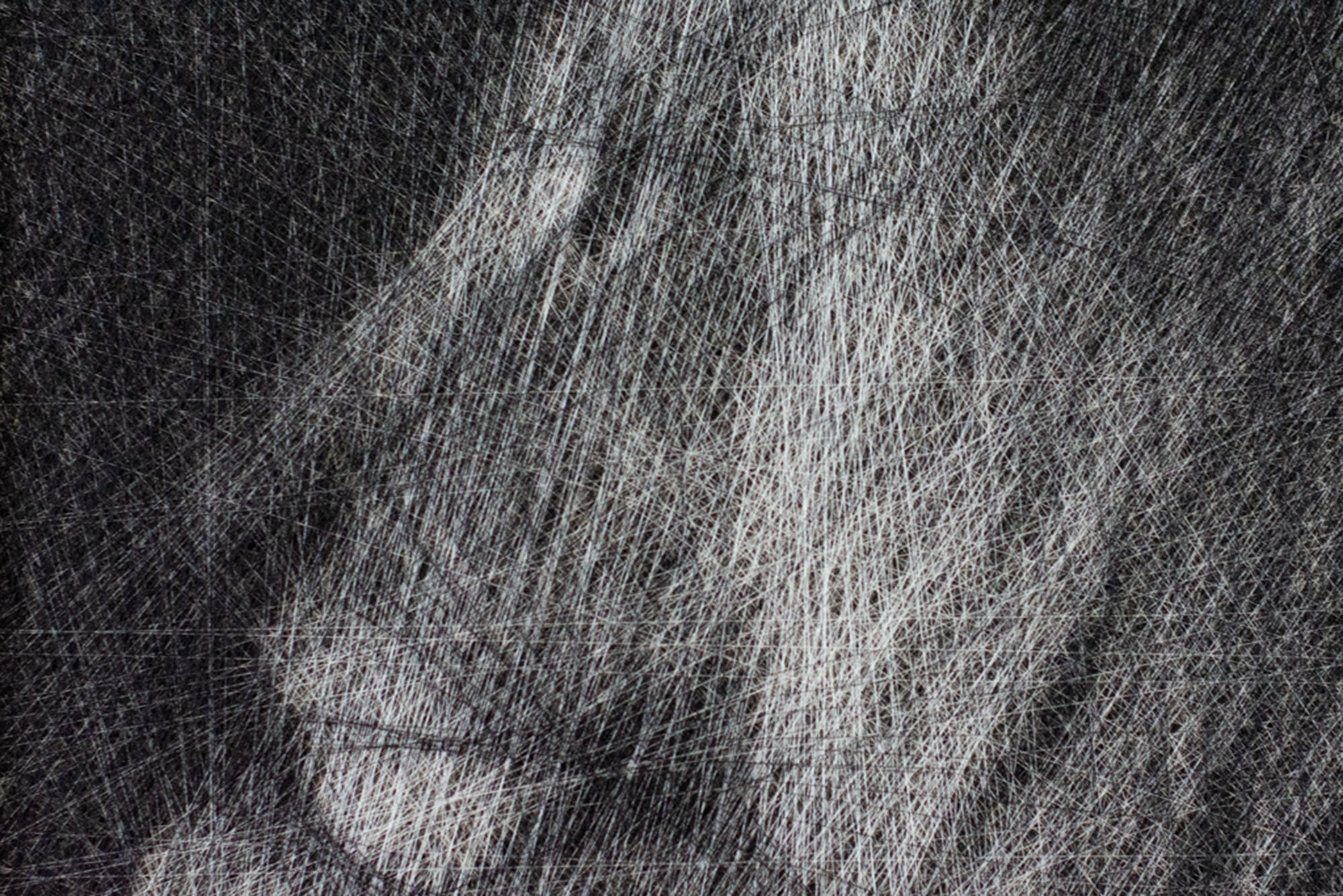 Black and White String Art Portrait lions or DIY Kit - Etsy