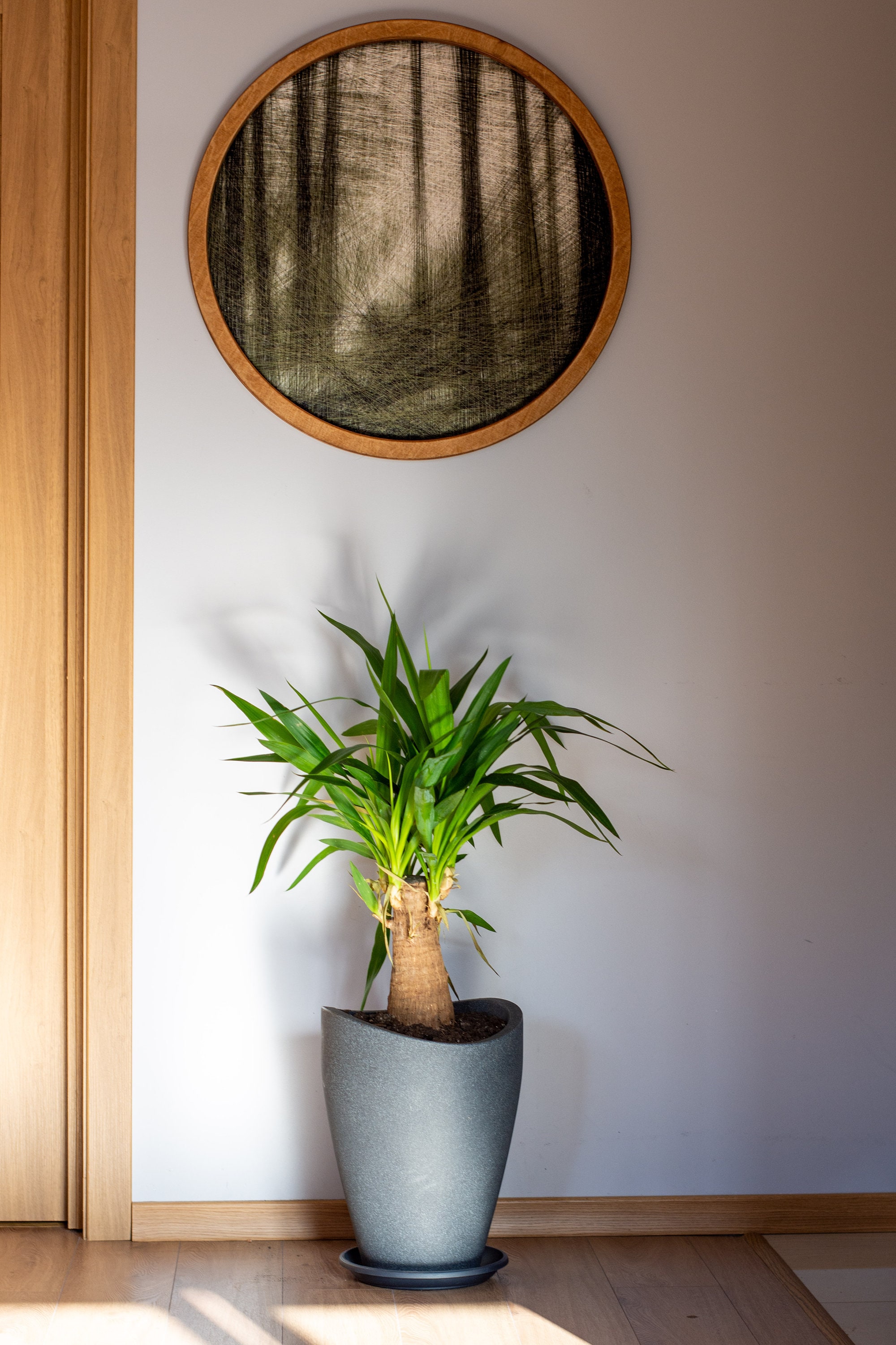 Forest String Art Colorful Portrait or DIY Kit - Etsy