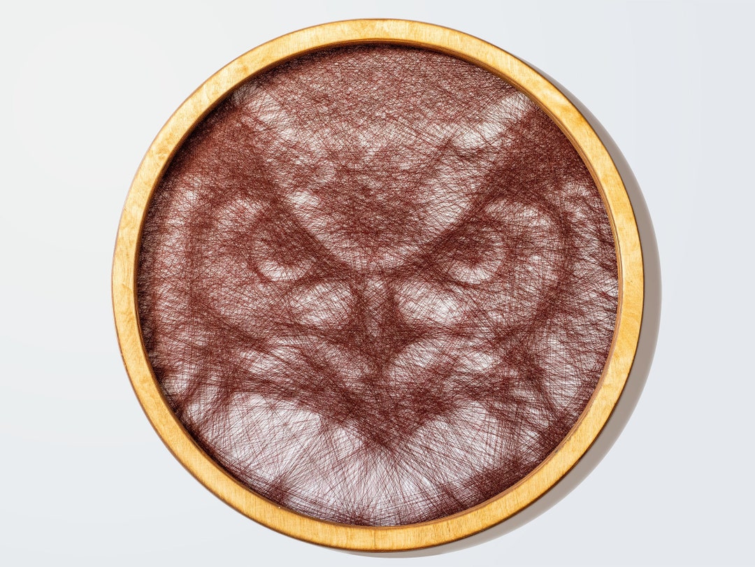 Owl, String Art Portrait, DIY Kit, Art Gift, DIY Kit, Craft, Art Wall ...