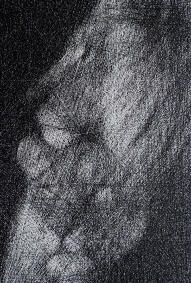 Black and White String Art Portrait lions or DIY Kit - Etsy