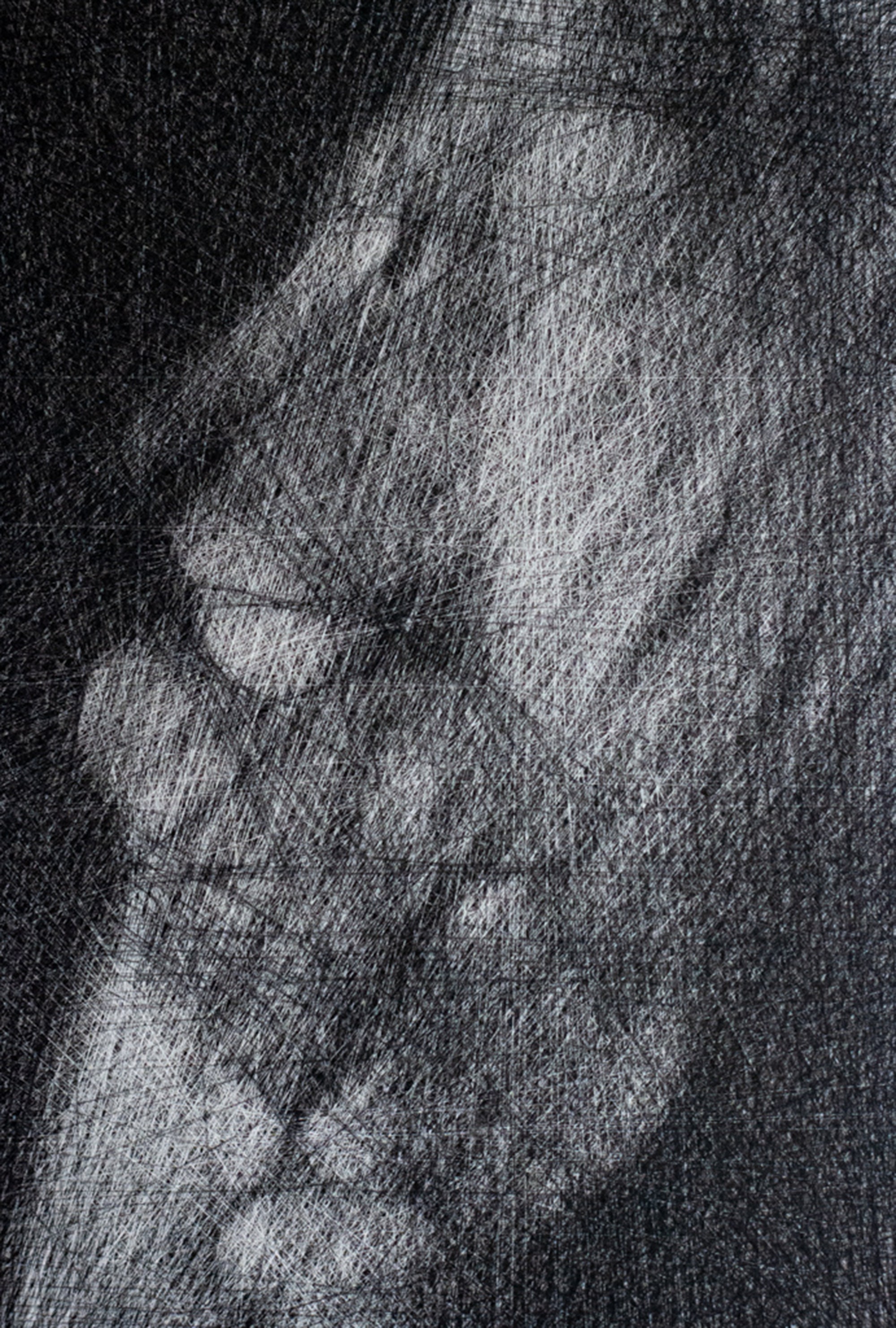 Black and White String Art Portrait lions or DIY Kit - Etsy