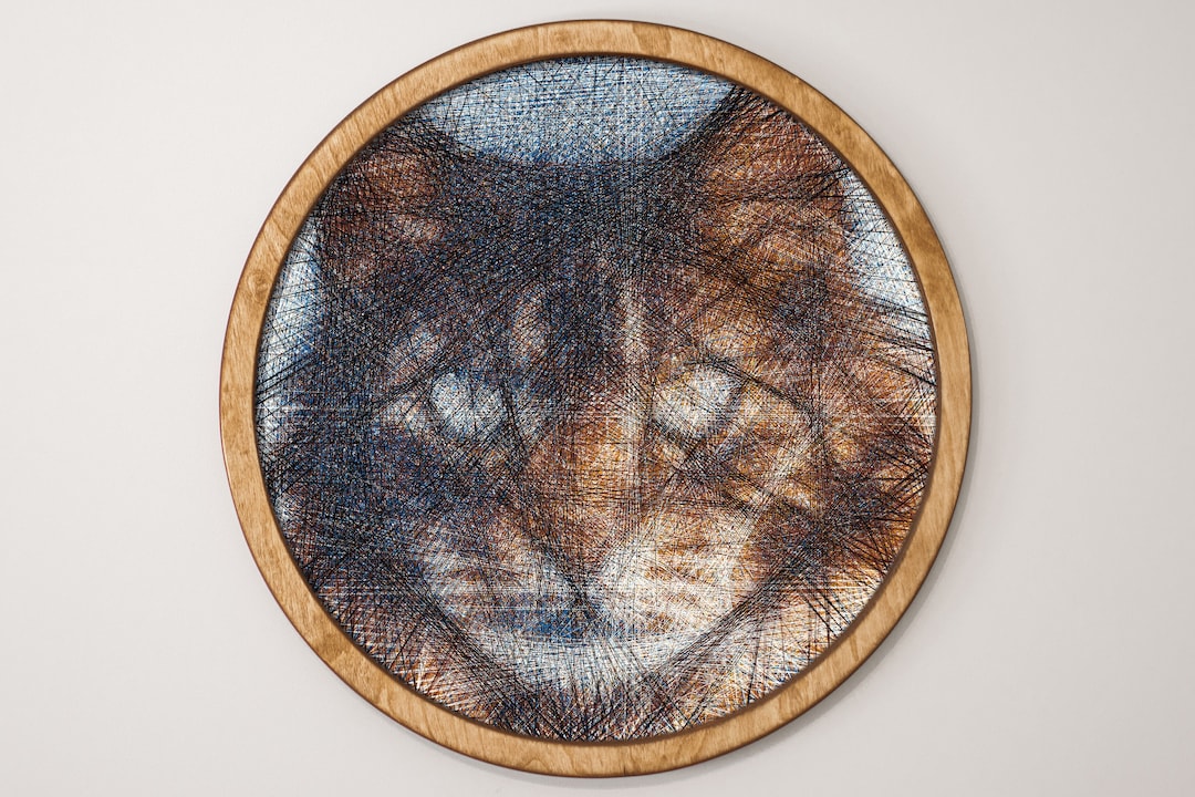 Cat - String Art Portrait or DIY Kit - Etsy
