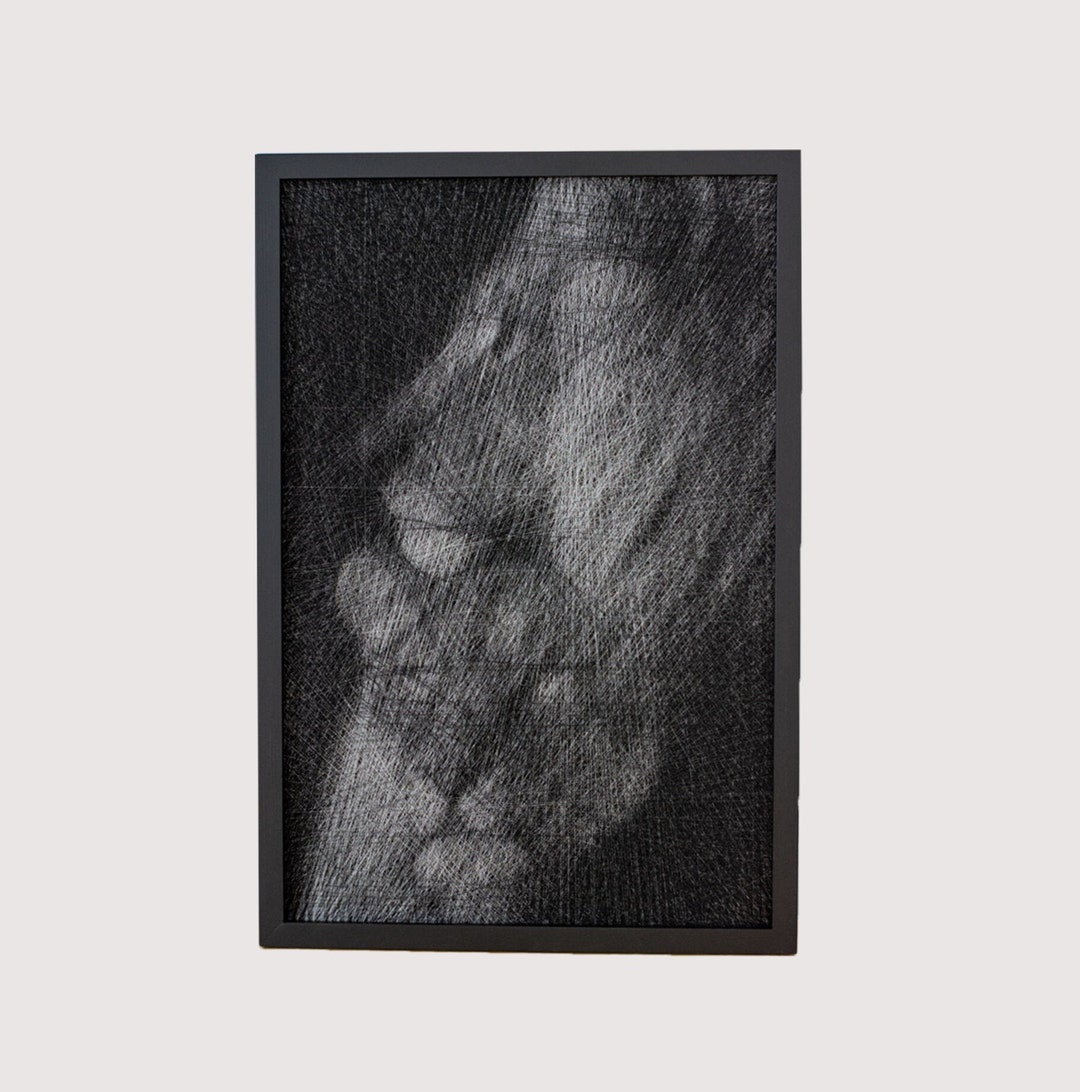 Black and White String Art Portrait lions or DIY Kit - Etsy