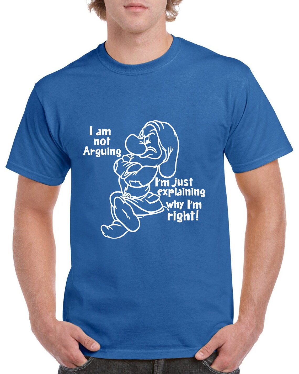 Disney Grumpy I'm Not Arguing Shirt Mens Tshirt/7 Dwarves/matching ...