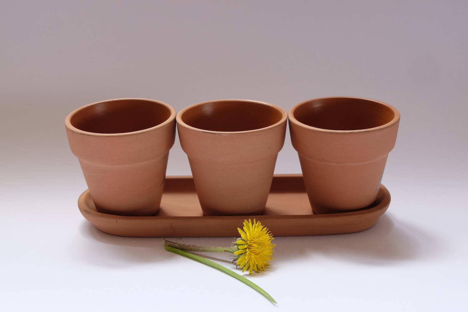 Miniature Pottery Planters Set Small Ceramic Succulent | Etsy