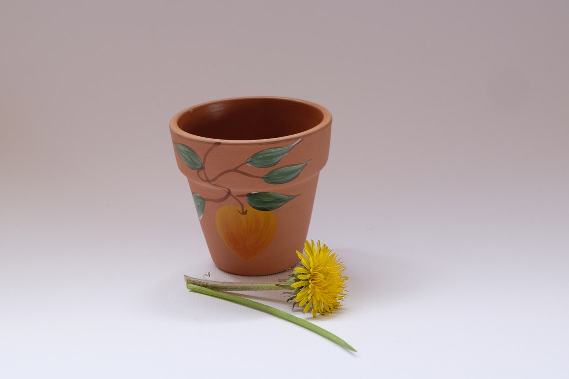 Miniature Pottery Planters Set Small Ceramic Succulent | Etsy