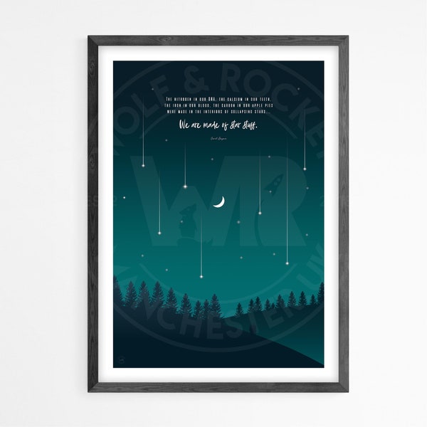 Carl Sagan - Etsy
