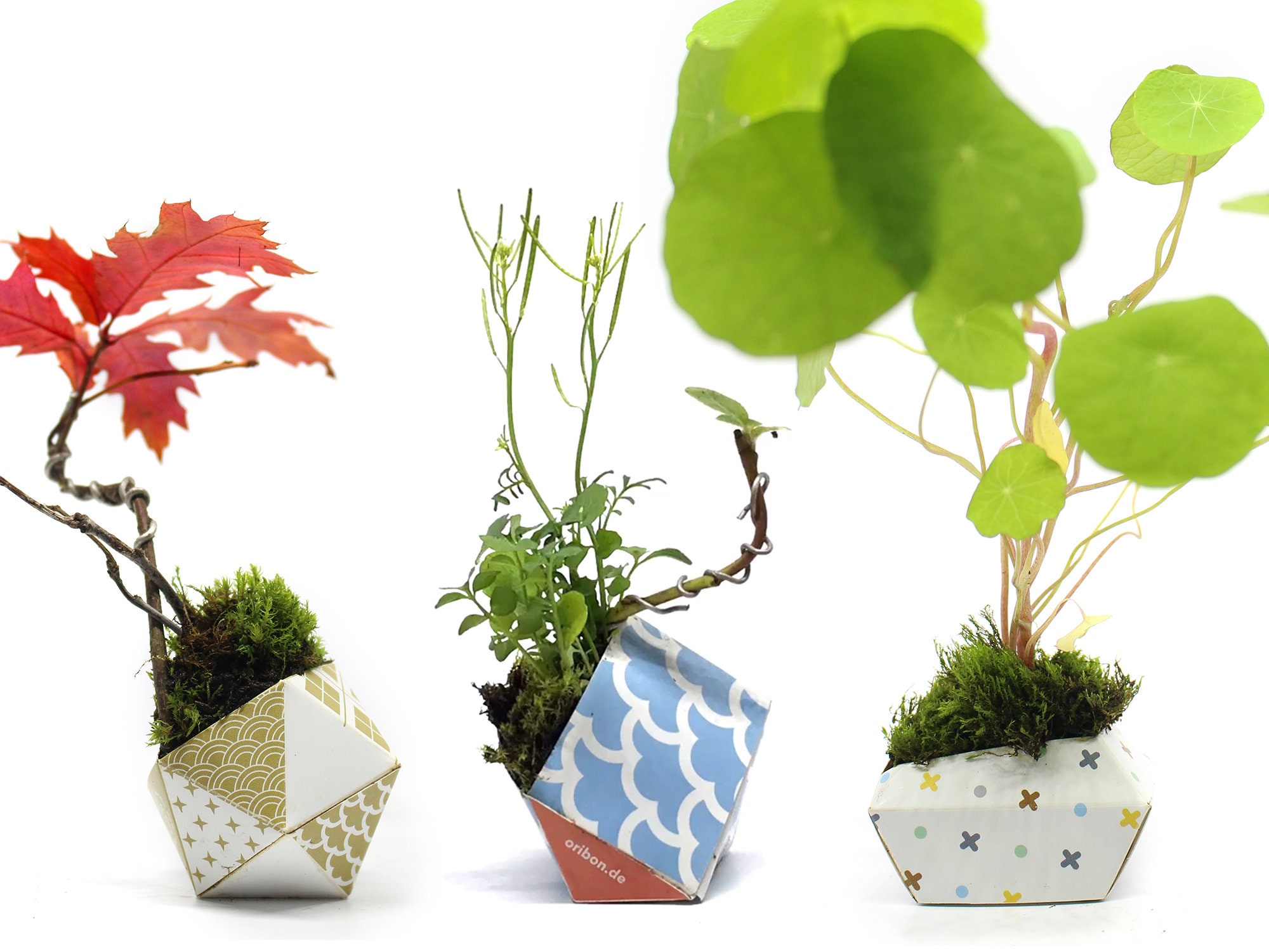 Origami plant pot Japanese design | Etsy