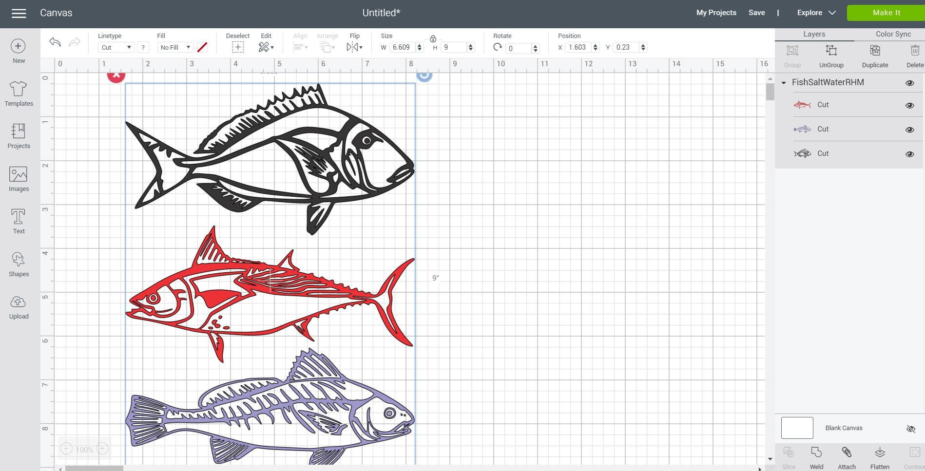 Saltwater Fish Set of 3 SVG File Detailed Vector for Laser - Etsy