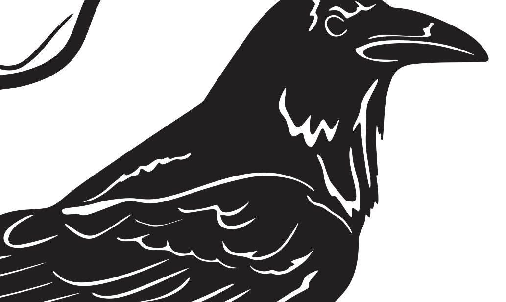 Edgar Allen Poe SVG file set of 7 Raven Skull vector for | Etsy