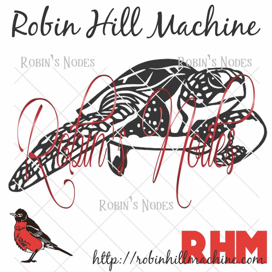 Realistic Sea Turtle SVG File ~ Detailed Vector for Laser and Cricut ...