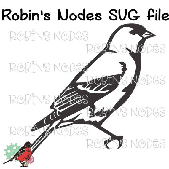 Song Bird SVG File Vector for Laser and Cricut Digital - Etsy